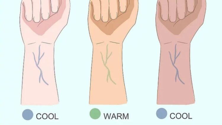 Hangi Tene Hangi Renk Kıyafet Yakışır? Kendini Keşfet! - Network Okulu